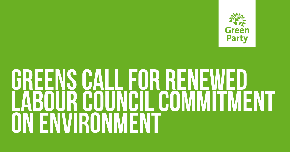 “If not now, when?” Greens call for renewed Labour council commitment ...