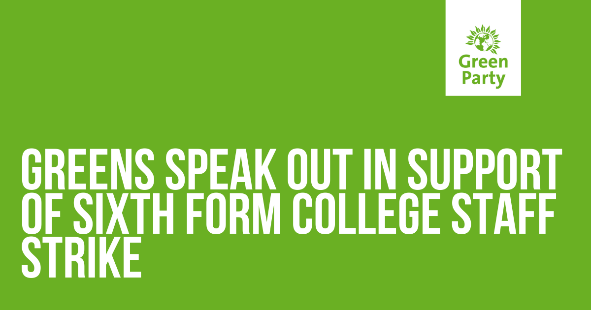 Greens speak out in support of sixth form college staff strike ...