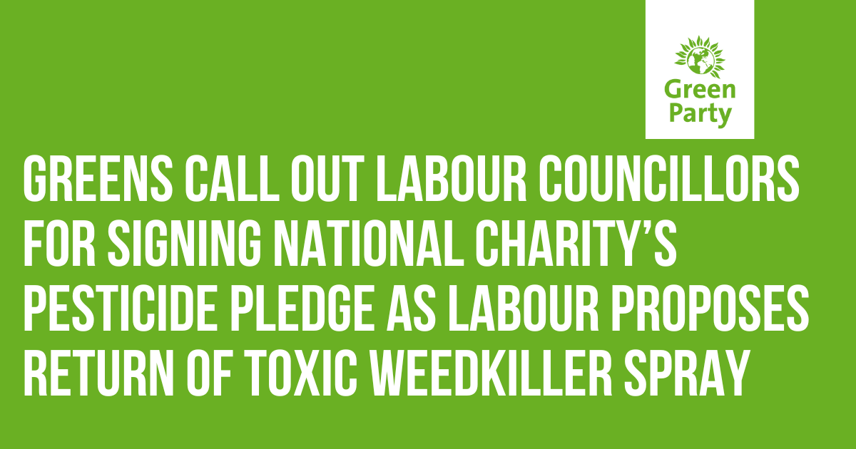 Greens call out Labour councillors for signing national charity’s ...